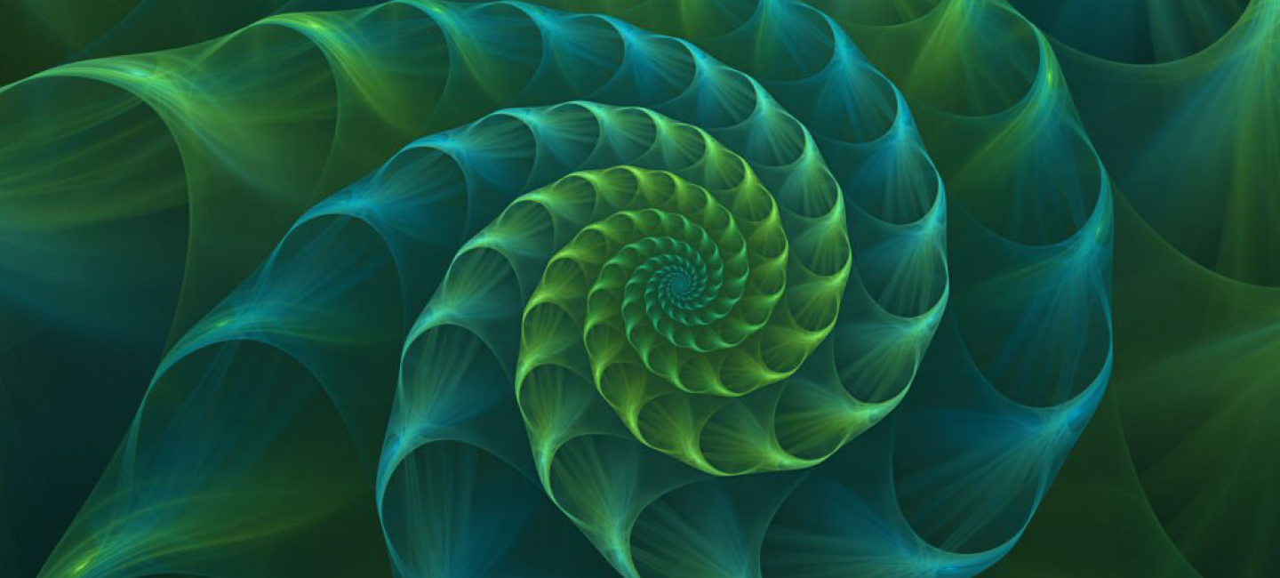 Conditions Commonly Treated by the DISCSEEL Procedure - Discseel